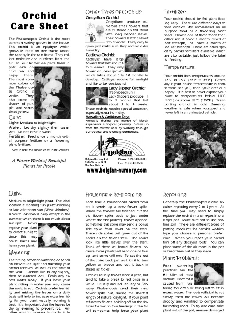 Orchid Care Sheet: Other Types of Orchids: Fertilizer | PDF ...