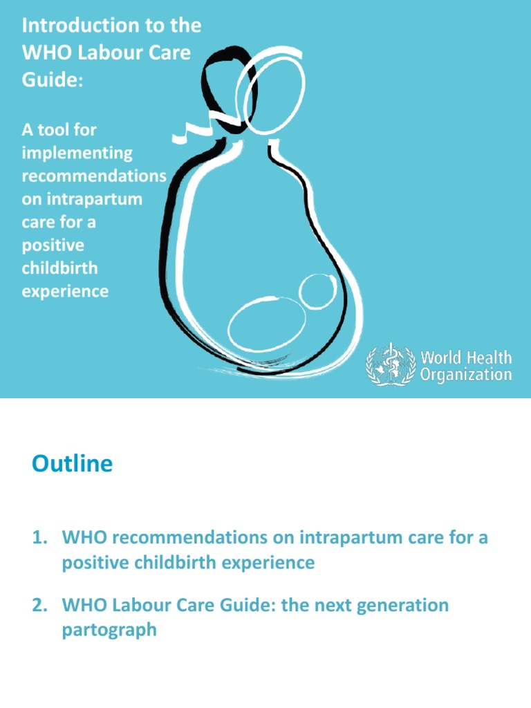 WHO Labor Care Guide Slides LCG | PDF | Childbirth | World Health ...