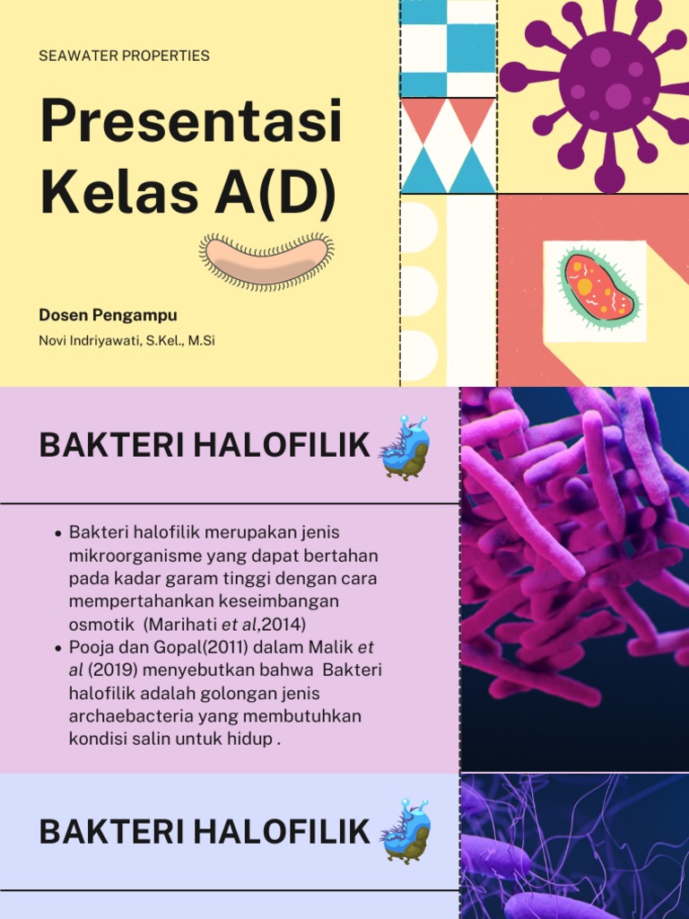 Ismaya Kenza Chalizta - Bakteri Halofilik | PDF