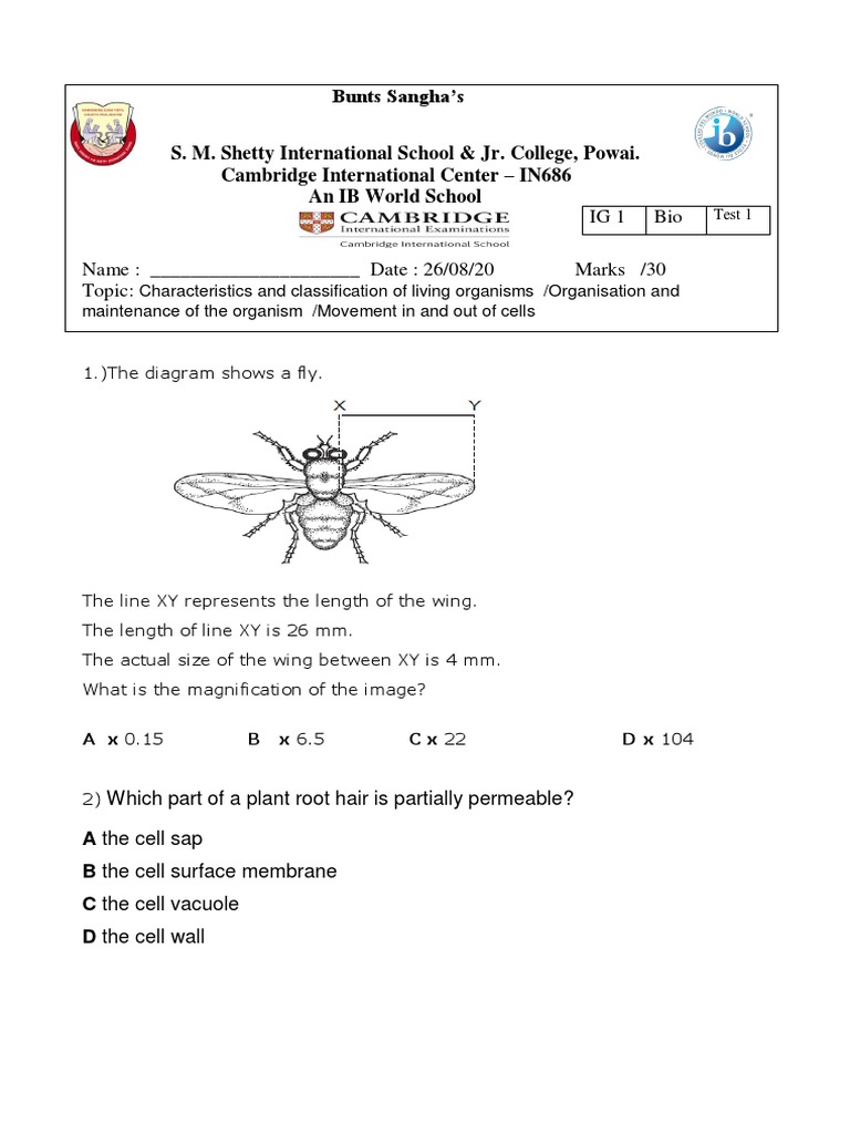 IGCSE 1 Biology Test 1 | PDF | Stoma | Onion