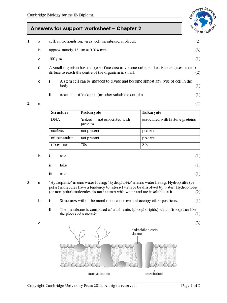 IB Biology 2 Assess WSSA | PDF | Mitosis | Cell (Biology)