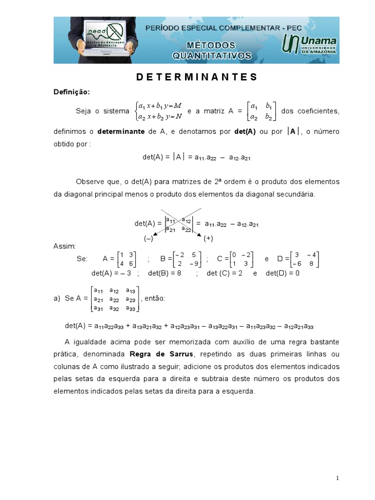 Determinantes | PDF | Determinante | Matriz (Matemática)