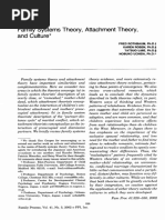Maps of Michael White's Narrative Therapy | PDF | Experience | Attention