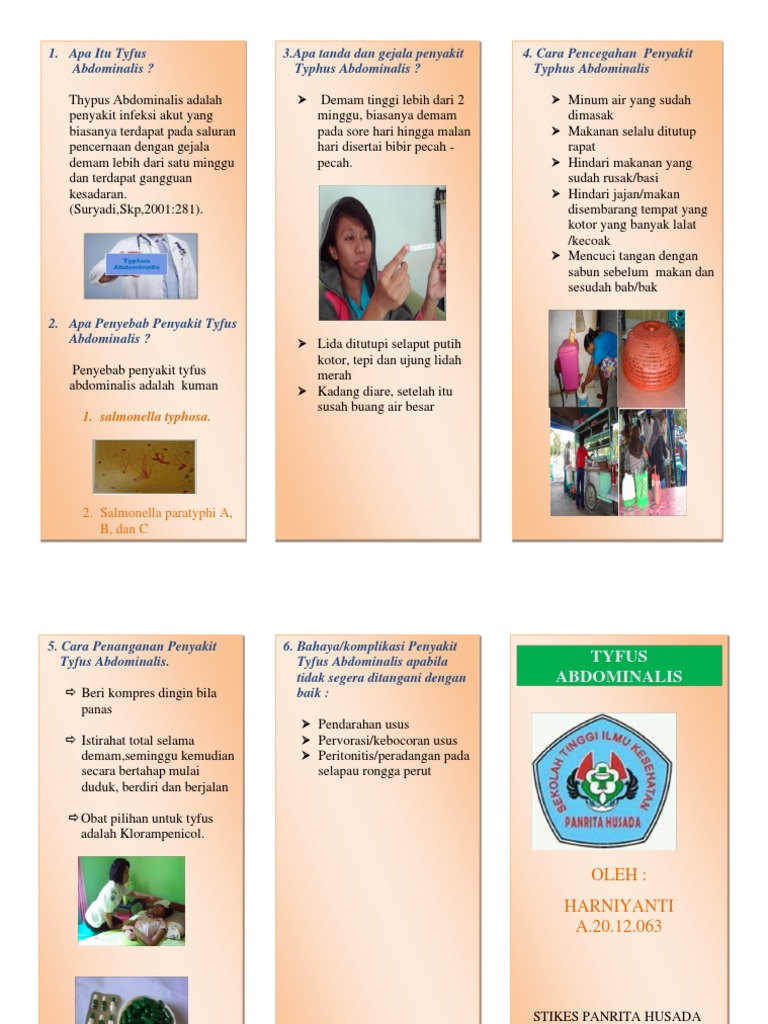 Leaflet Typhus Abdominalis | PDF