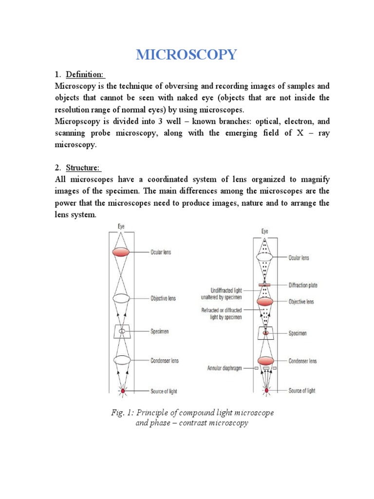 Microscopy: Fig. 1: Principle of Compound Light Microscope and Phase ...