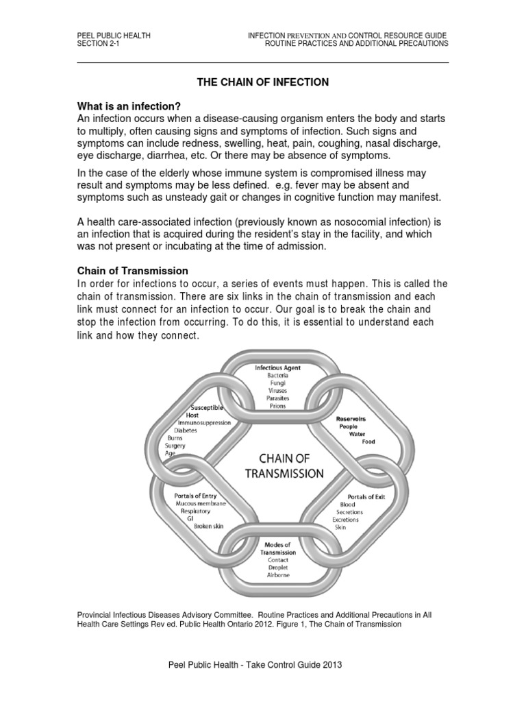 The Chain of Infection | PDF | Transmission (Medicine) | Infection