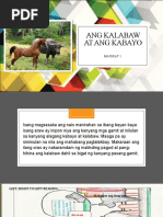 Ang Kabayo at Ang Kalabaw | PDF