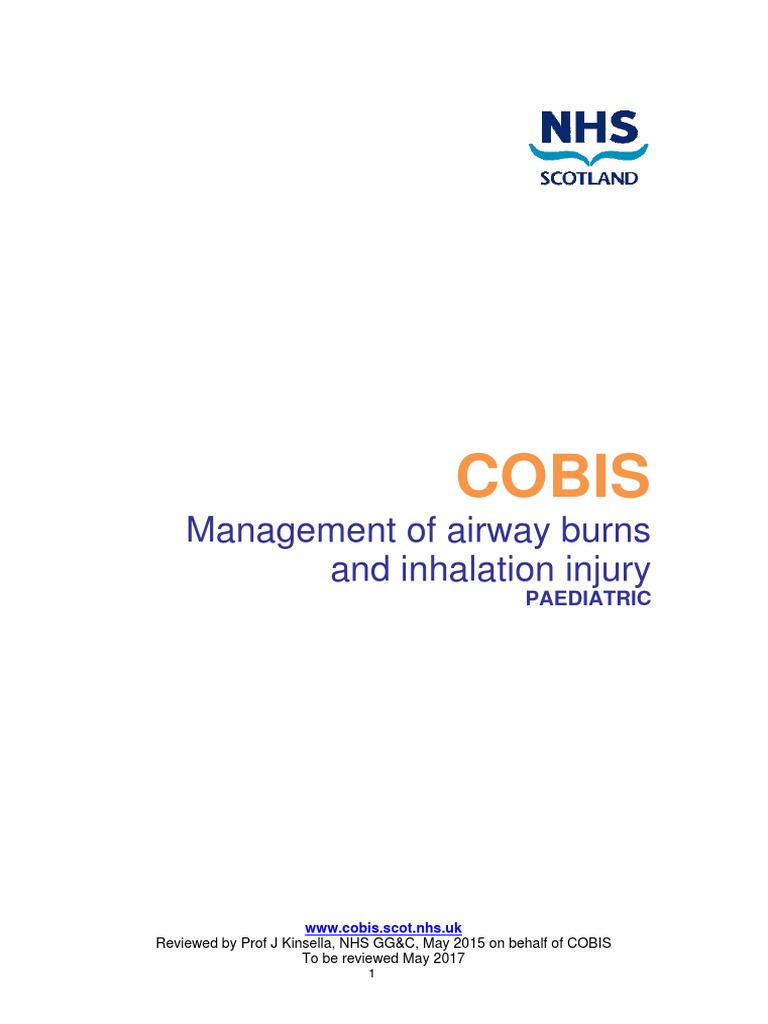 Paed Guideline Airway Burns Inhalation 2015 | PDF | Burn | Clinical ...