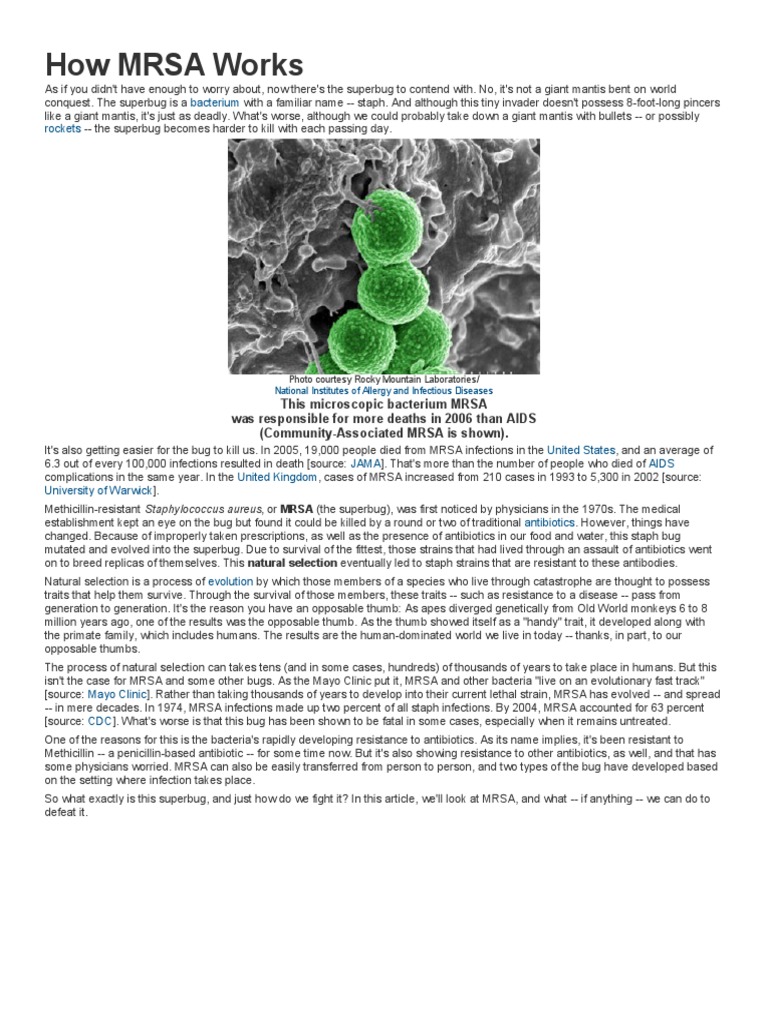 How MRSA Works: Bacterium Rockets | PDF | Methicillin Resistant ...