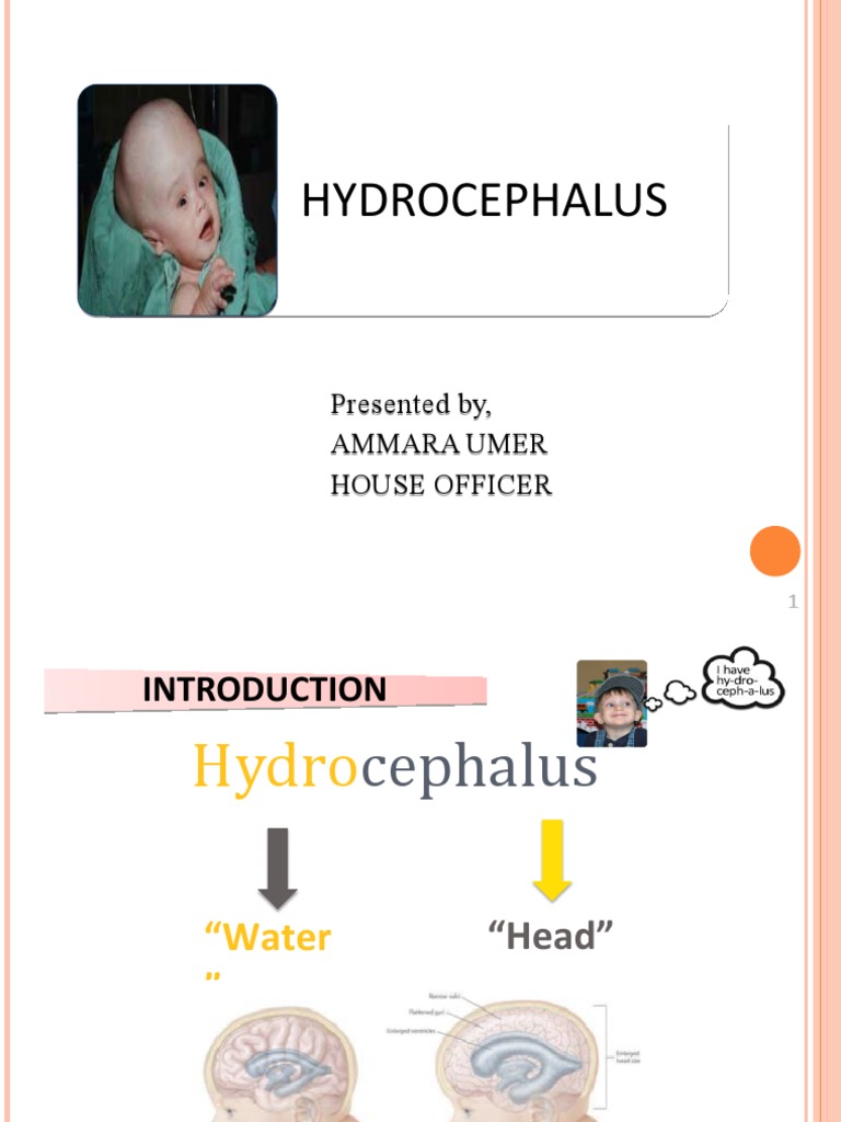 Hydrocephalus | PDF | Cerebrospinal Fluid | Neurological Disorders