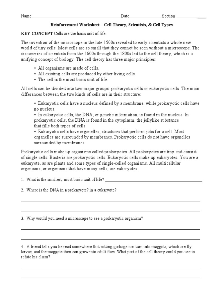 Cell Theory ACtivity | PDF | Cell (Biology) | Organisms