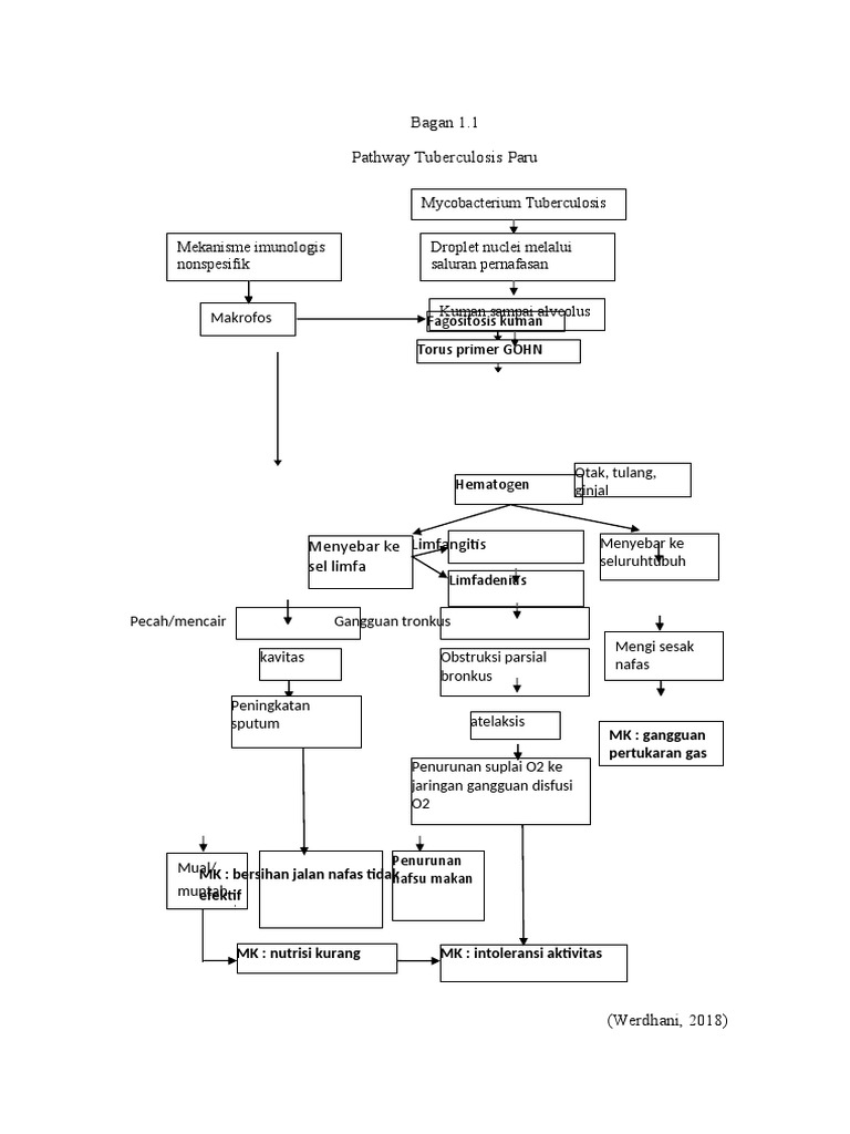 Pathway TB PARU | PDF