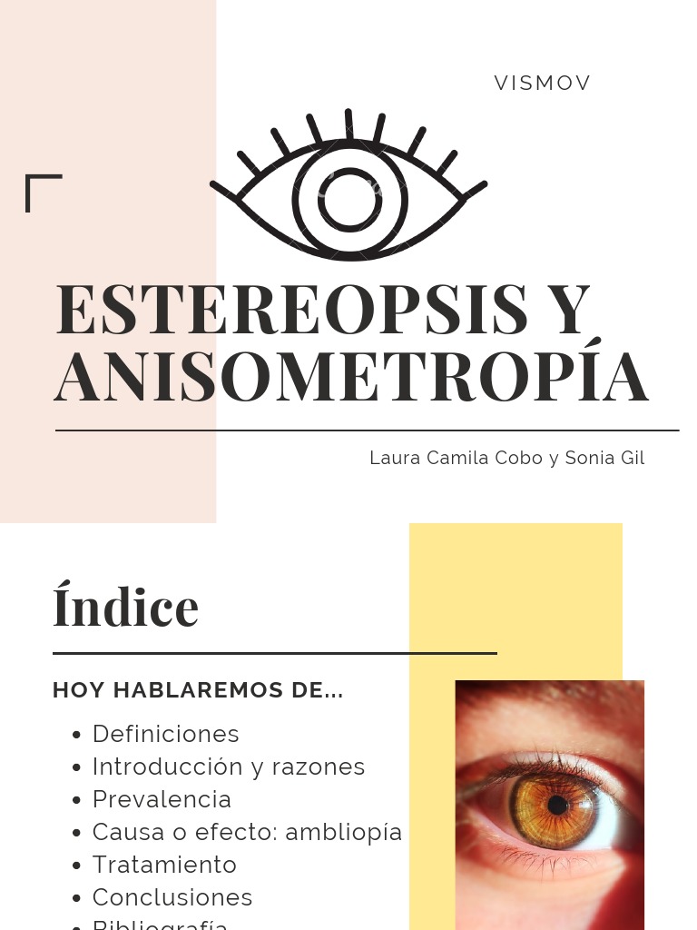 Estereopsis y Anisometropia | PDF | Visión | Sistema visual