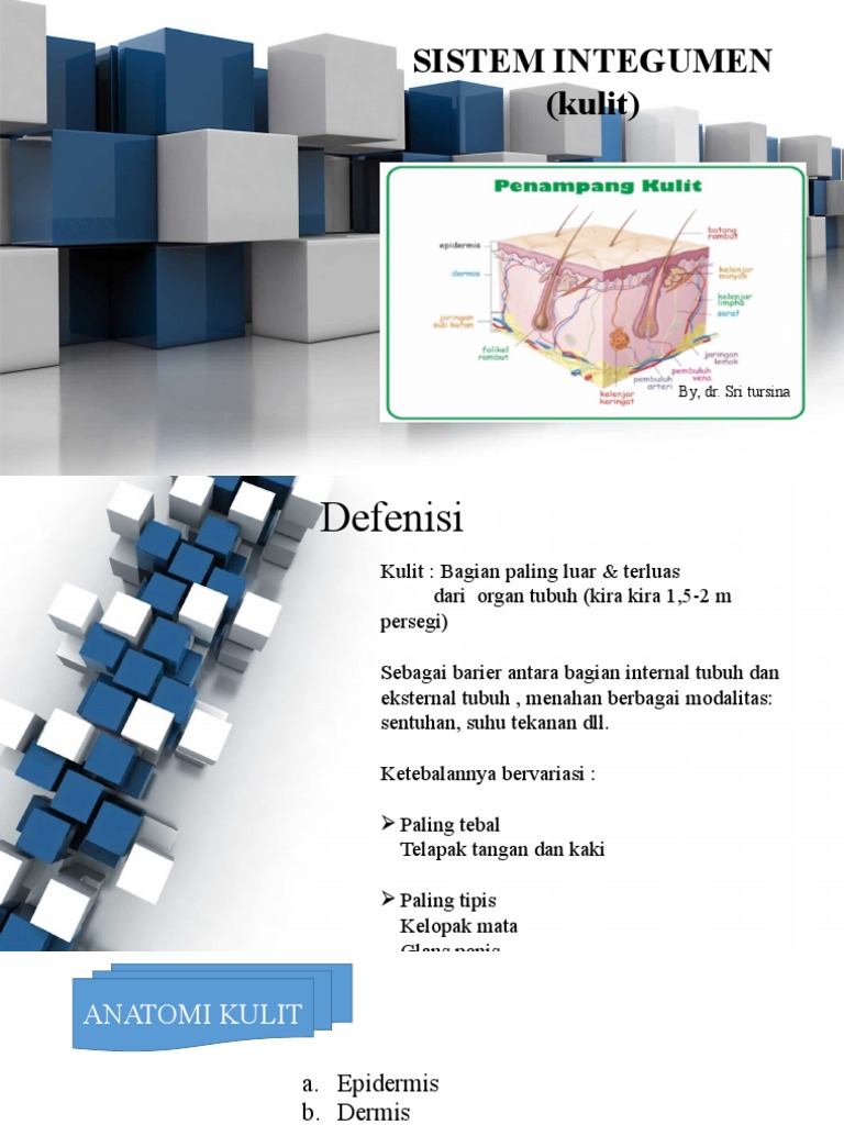 Struktur dan Fungsi Kulit | PDF