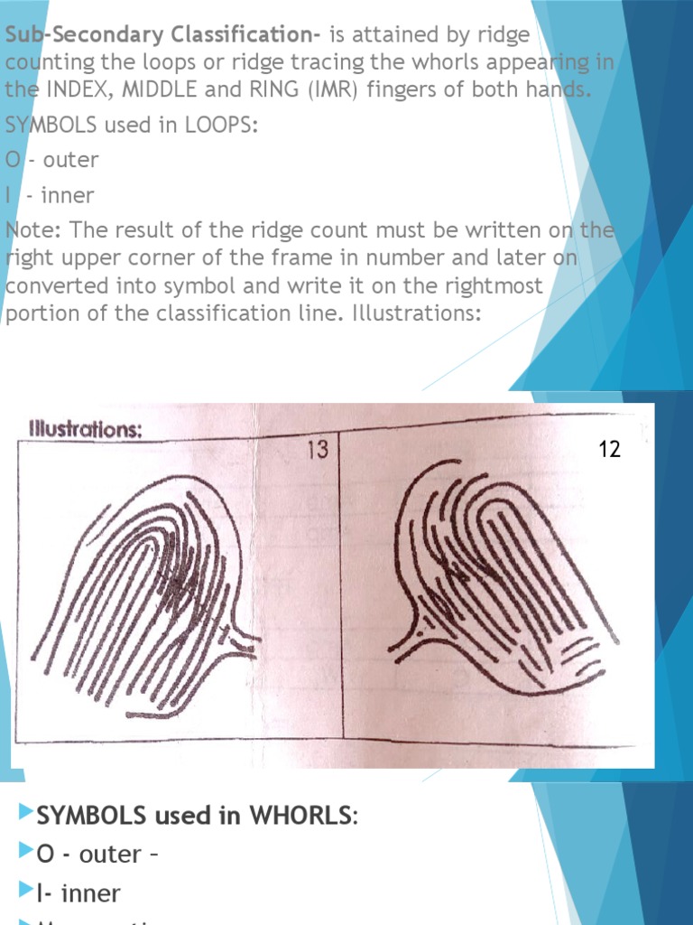 Fingerprint Classification Guide | PDF