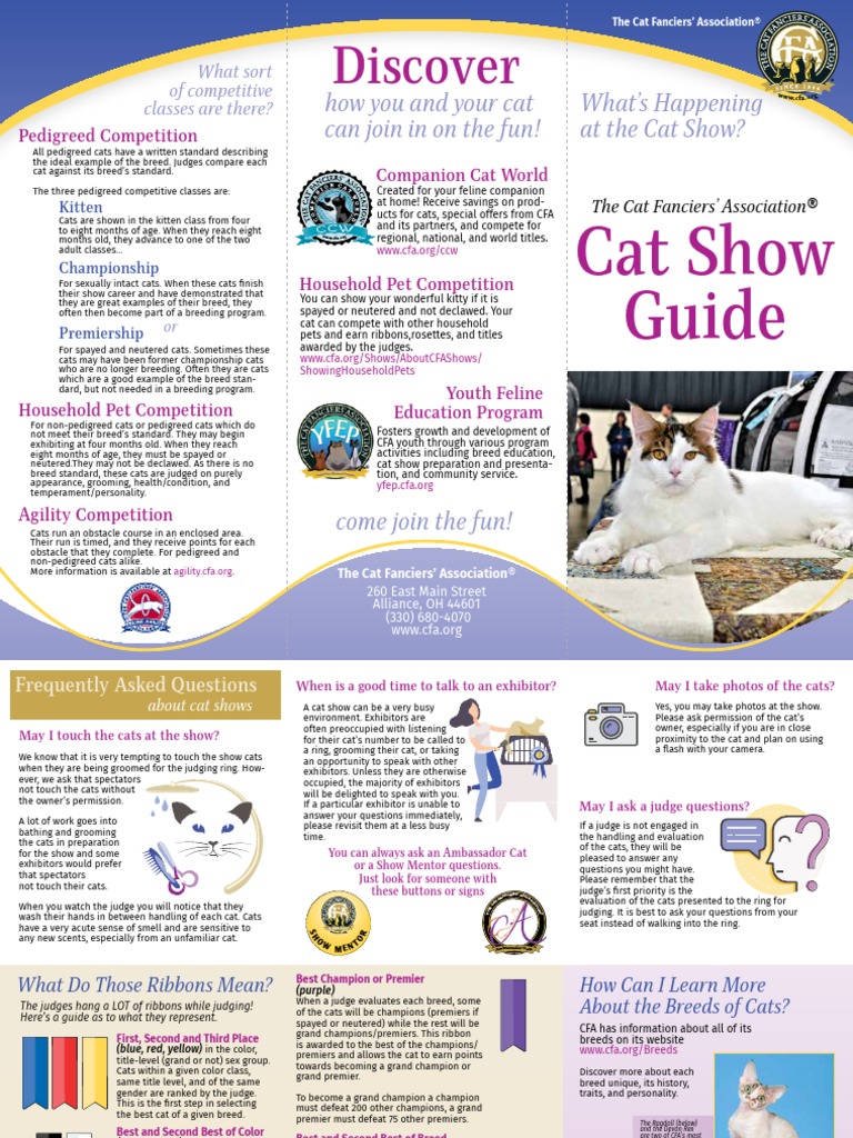 Discover: Cat Show Guide | Download Free PDF | Cats | Animal Breeding