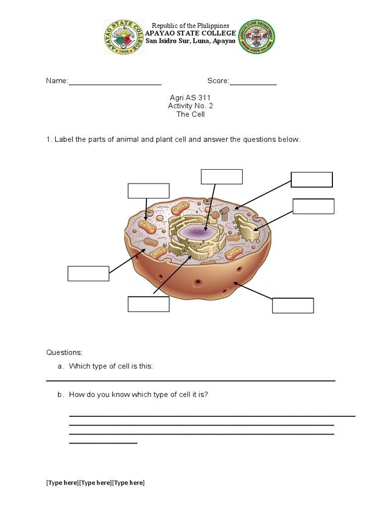 Anaphy Lab 2 | PDF | Self-Improvement