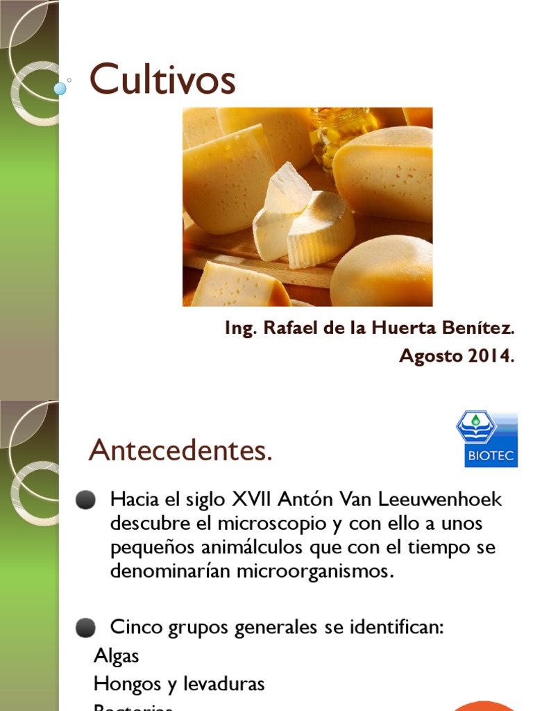 Cultivos Lacticos | PDF | Fermentación | Microorganismo