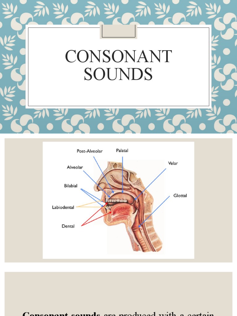 Consonant Sounds | PDF | Phonetics | Human Voice
