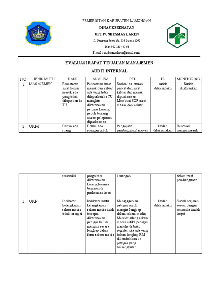 RTM RTL Audit Internal | PDF