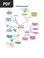 Getting To Know Plants - Worksheet - 1 PDF | PDF