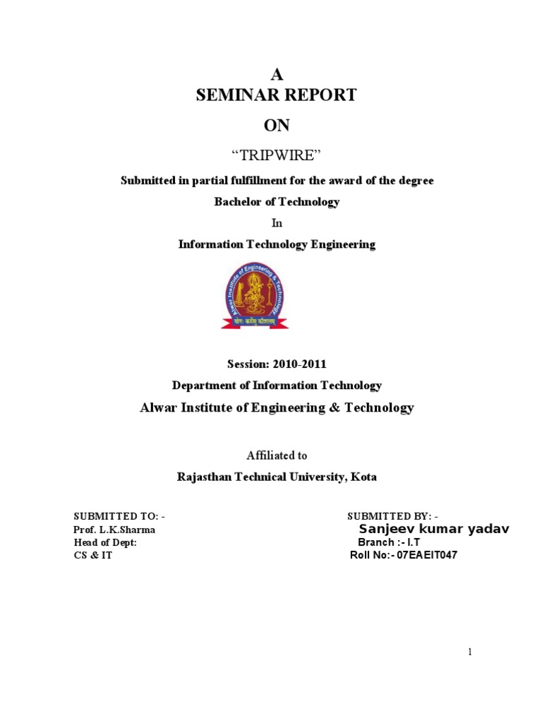 Tripwire Report | PDF | Computer Security | Security
