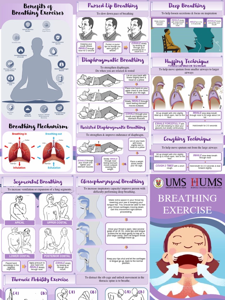 Breathing Exercises | PDF | Breathing | Thorax