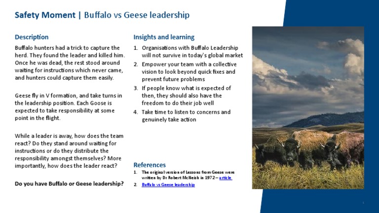 Safety Moment - Buffalo Vs Geese Leadership: Description Insights and ...