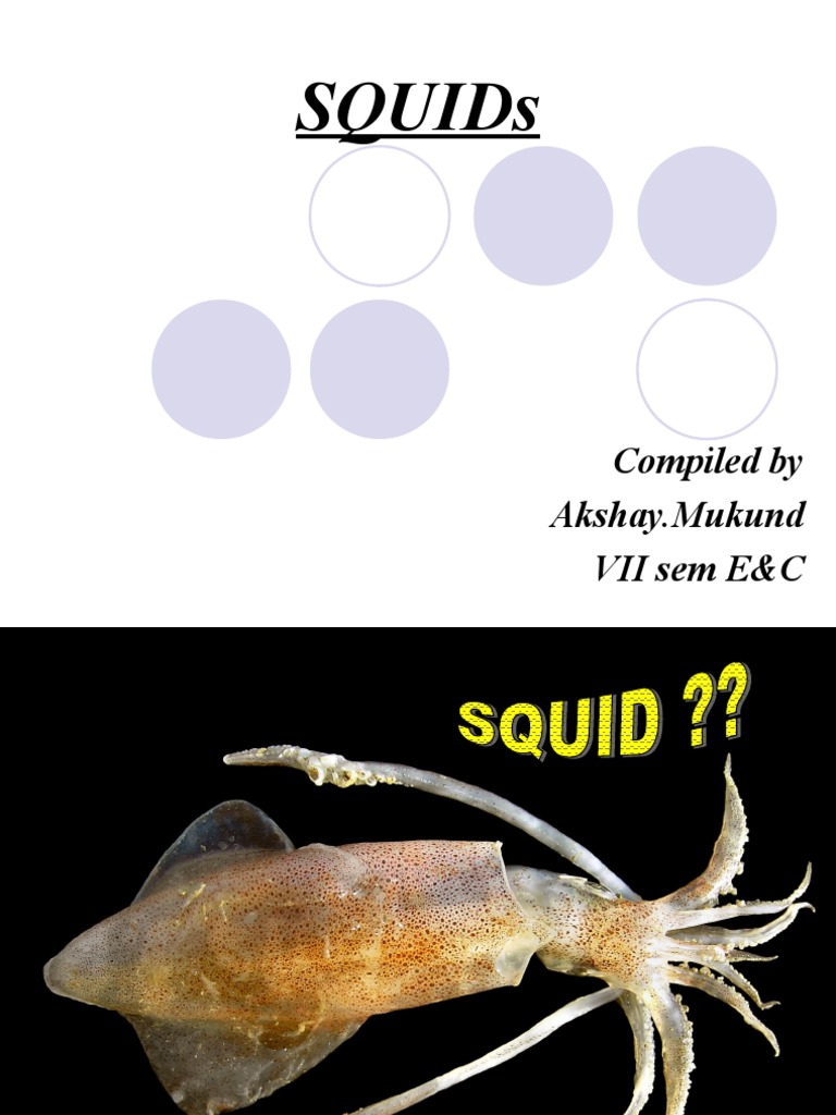 Squids: Compiled by Akshay - Mukund VII Sem E&C | PDF | Superconductivity | Magnetoencephalography