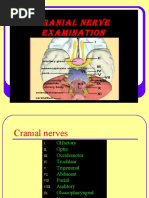 Cranial Nerves Examination Checklist | PDF | Human Head And Neck ...