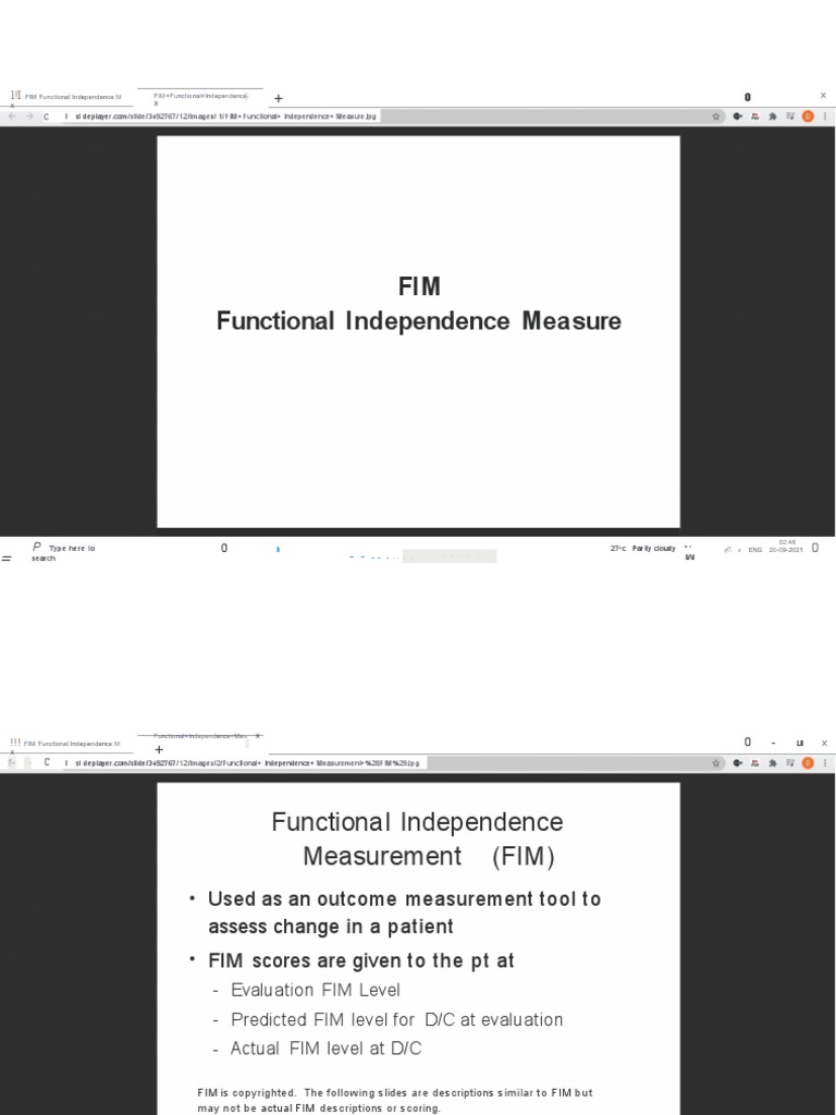 Functional Independence Measure Scale | PDF
