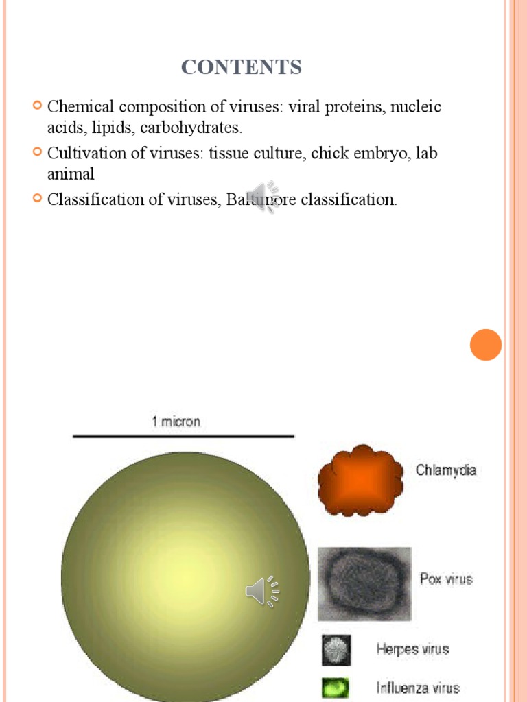 Chemical Composition of Viruses | PDF | Virus | Rna