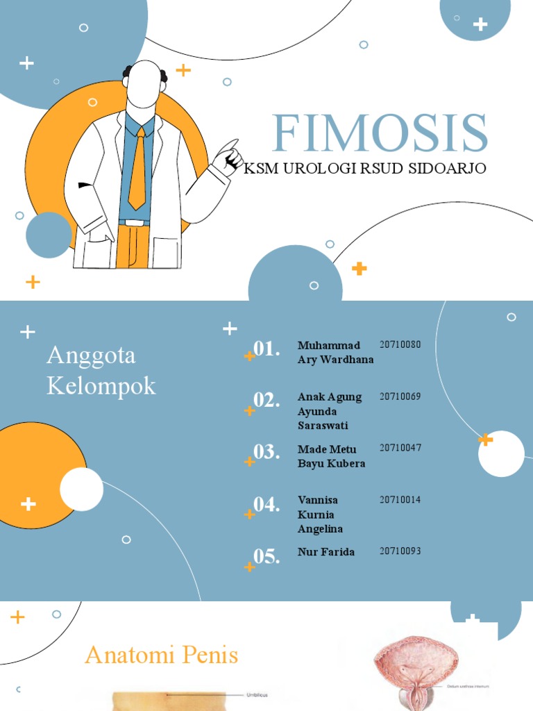 Fimosis: Anatomi, Etiologi, Patofisiologi, Manifestasi Klinis, dan ...