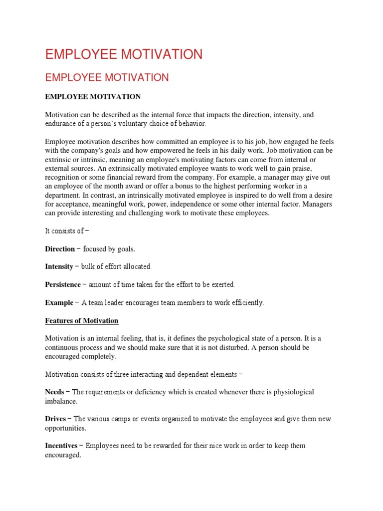 Understanding Employee Motivation | PDF | Motivation | Motivational
