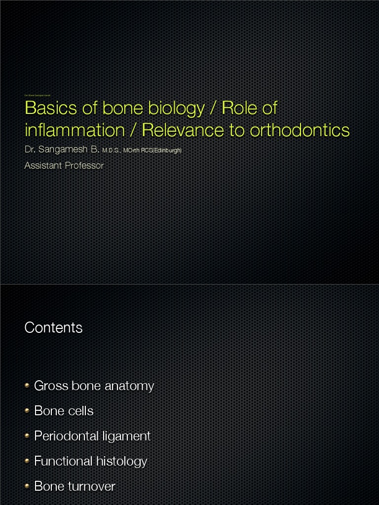 Basic Bone Biology | PDF | Bone | Osteoblast
