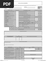 Matriz de Habilidades Iluo | PDF