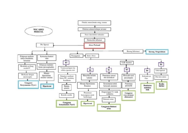 Pathway Fistula Ani | PDF