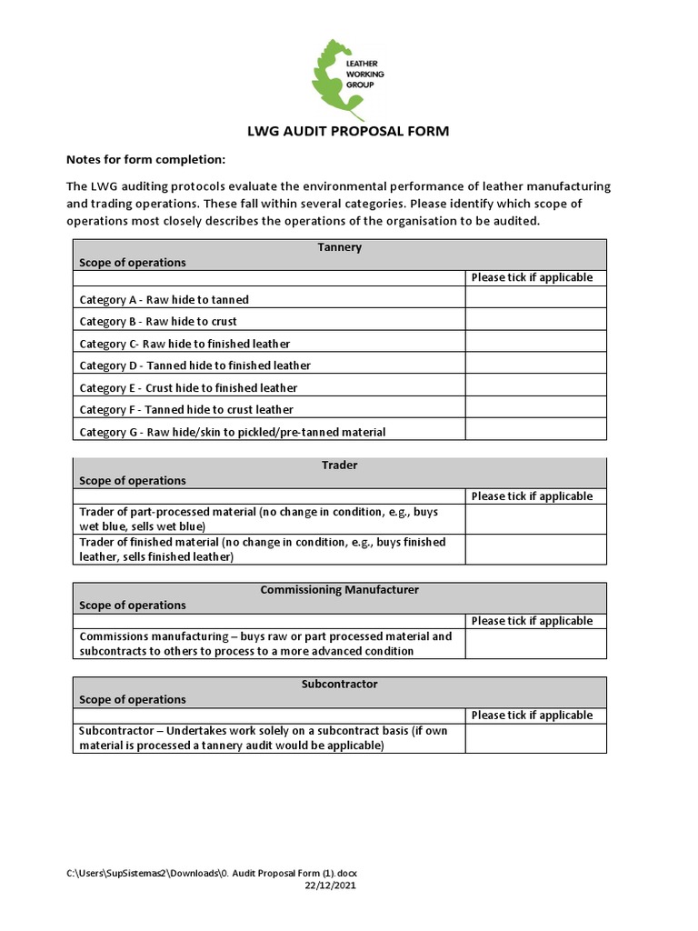 Audit Proposal Form | PDF | Leather | Audit