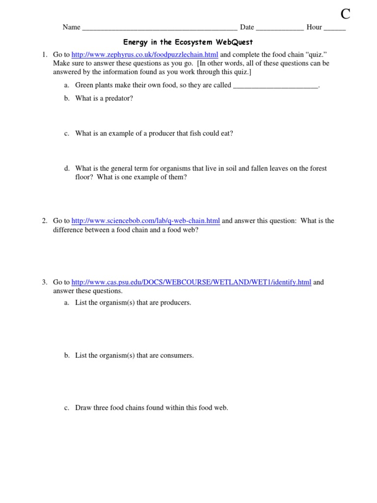Energy in Marine Ecosystems WebQuest | PDF | Food Web | Nature