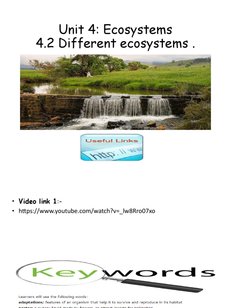 Unit 4 .4.2 Different Ecosystems - Week 1 | PDF | Wellness | Science ...