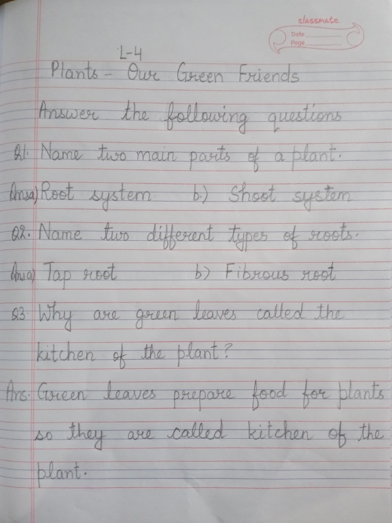 L-4 Plants Our Green Friends Ans | PDF