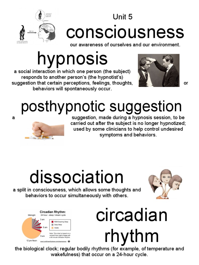 Unit 05 Word Wall - States of Consciousness | PDF | Sleep | Stimulant