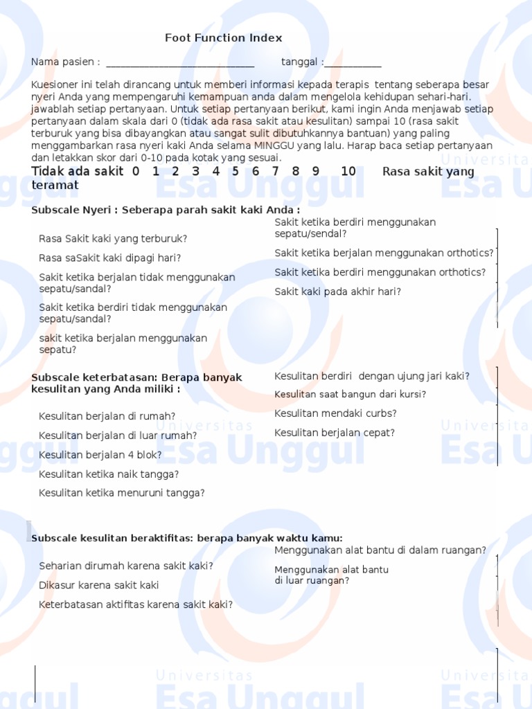 Lampiran Foot Function Index | PDF