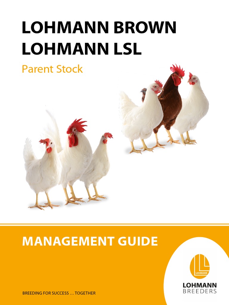 Lohmann Brown Lohmann LSL: Parent Stock | PDF | Nutrients | Vaccines