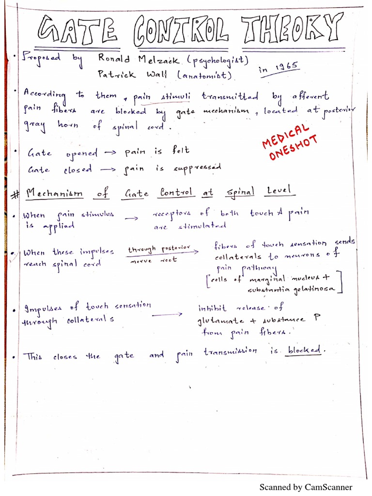 Gate Control Theory Handwritten Notes | PDF