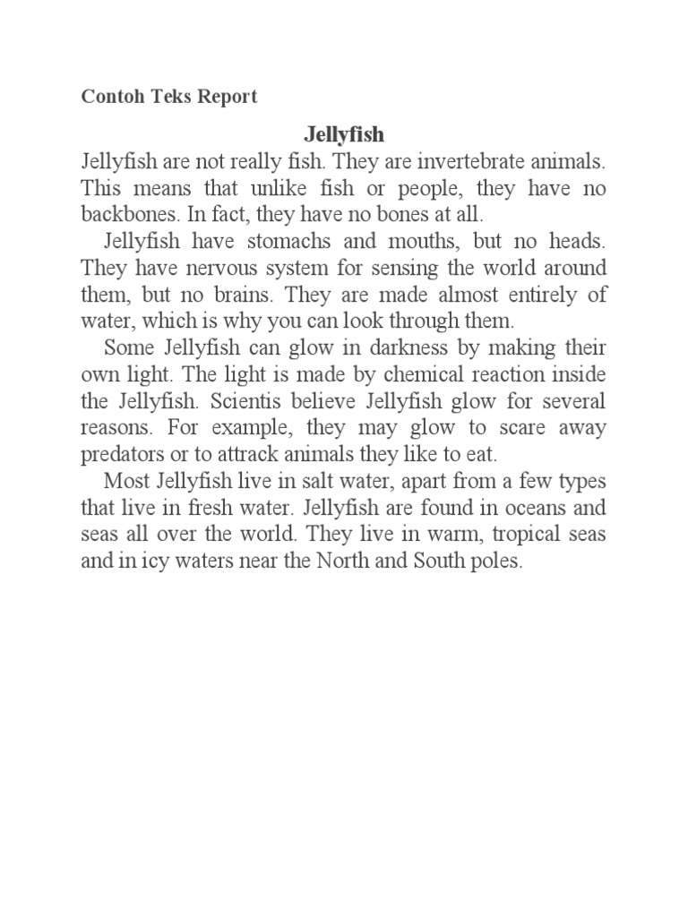 Contoh Teks Report | PDF