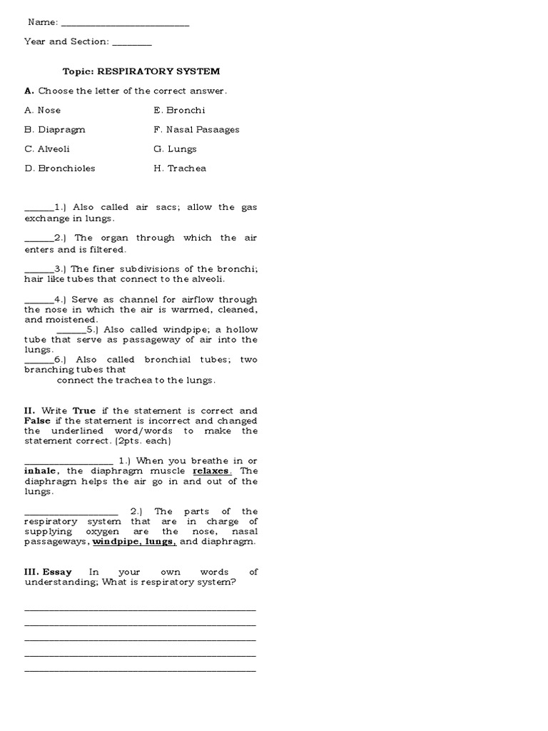 Topic: Respiratory System A. Choose The Letter of The Correct Answer | PDF
