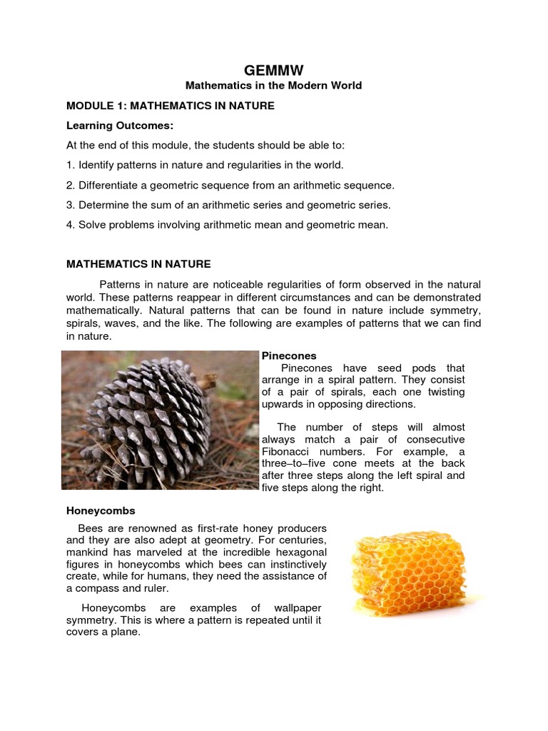 MODULE 1 - Mathematics in Nature | PDF | Pattern | Milky Way