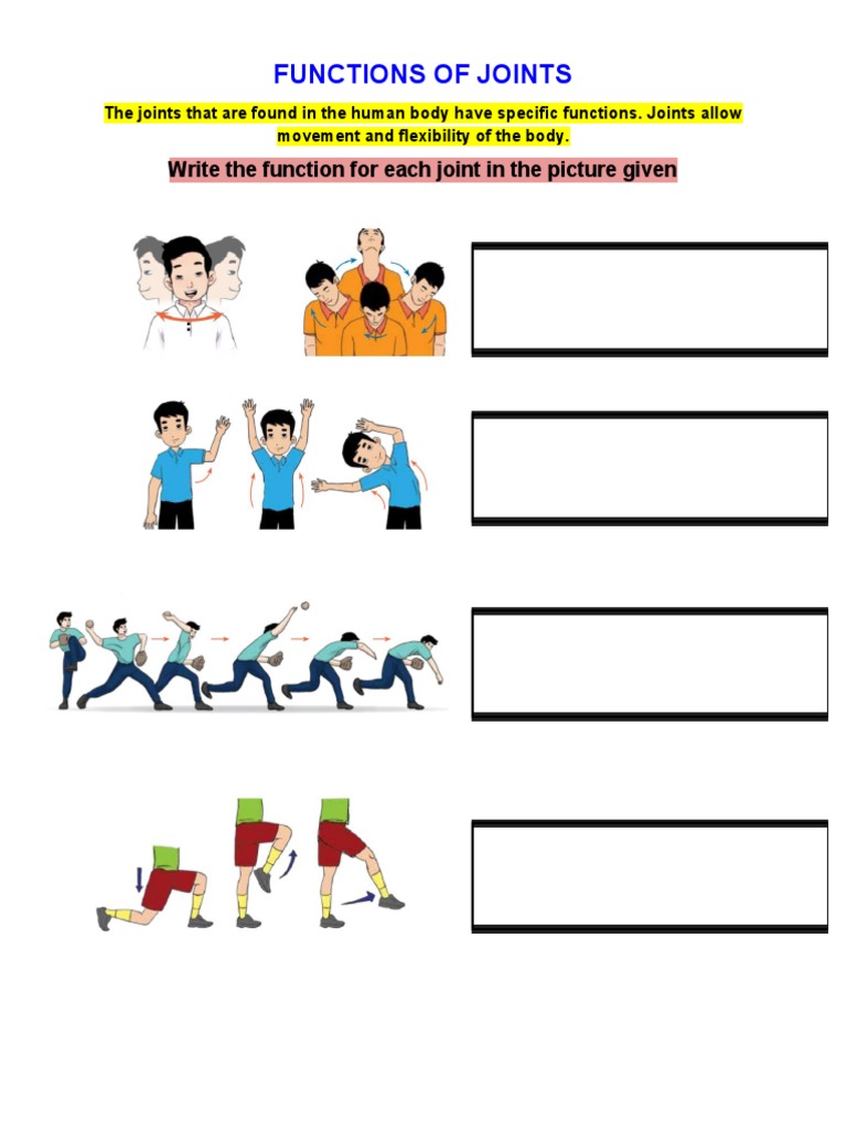 Functions of Joints | PDF