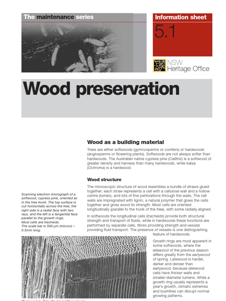 Maintenance5-1 Woodpreservation | PDF | Wood | Lumber
